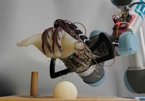 the engineer wrist movements and sensors enable robotic hand to grasp