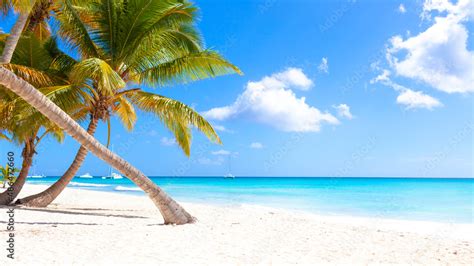 Beach White Sand Wallpaper