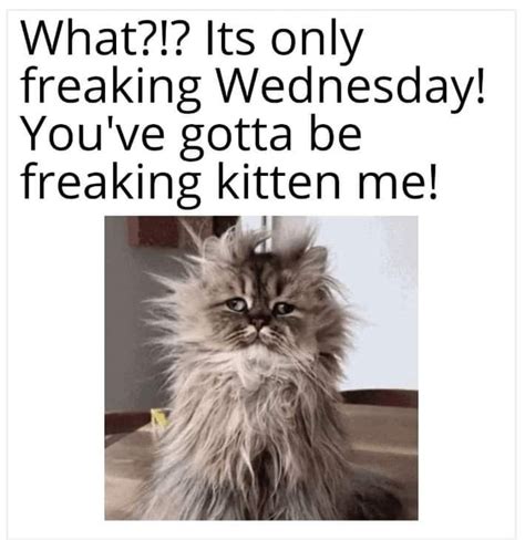 Wednesday Humor 9GAG