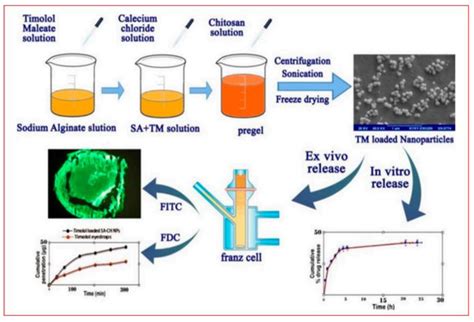 Materials Free Full Text Recent Advances In Chitosan Based Applications—a Review