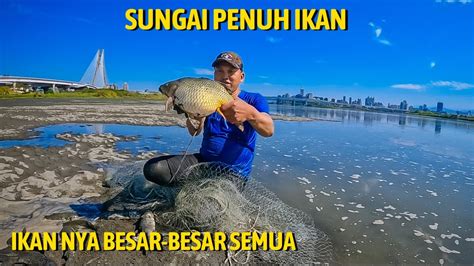 GAK MAIN² JALA IKAN DI SUNGAI INI DAPATNYA NYA IKAN SAK BANTAL
