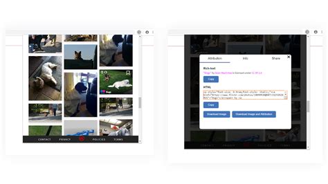 Introducing The CC Search Browser Extension Creative Commons