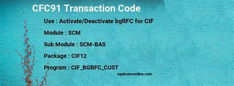 Cfc91 Sap Tcode For Activatedeactivate Bgrfc For Cif
