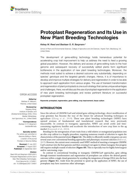 Pdf Protoplast Regeneration And Its Use In New Plant Breeding