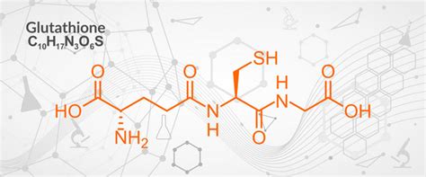 Gsh Vector Images 49