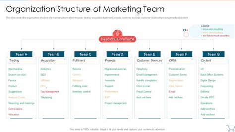 Organization Structure Of Marketing Team Developing E Commerce