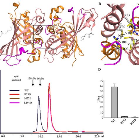 Kai Zhang Professor Assistant Ph D Yale University New Haven Yu Department Of