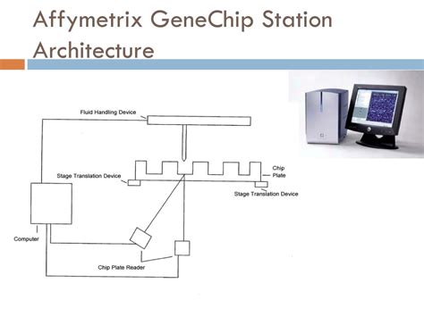 Ppt Affymetrix Genechip Array Station Powerpoint Presentation Free
