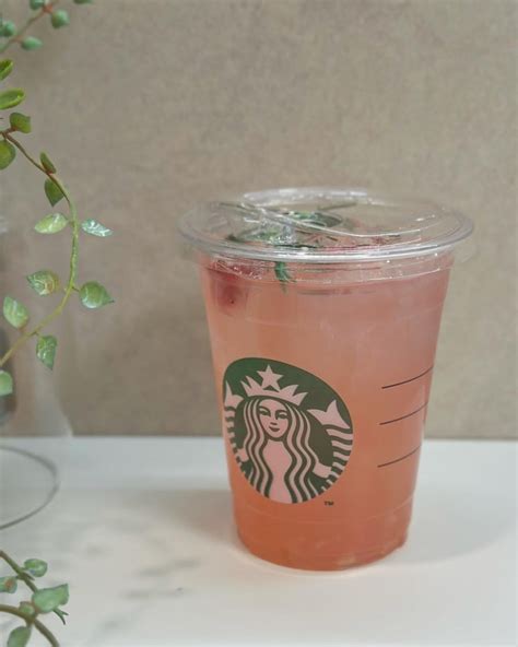 말차 크림 브륄레 라떼 더블 에스프레소 크림라떼 등 2023년 스타벅스 겨울 크리스마스 메뉴 모두 마셔봄 네이버 블로그