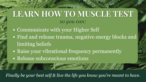 Muscle Testing Guidance