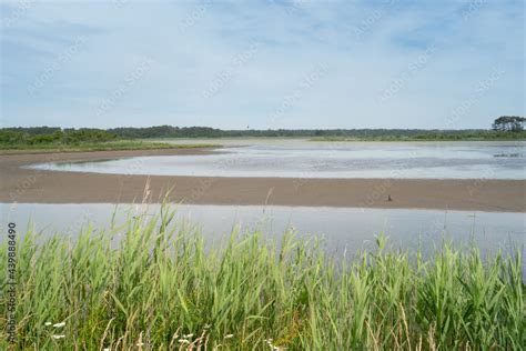Mud Flats Dominate The Landscape As The Fresh Water River Delta Fans