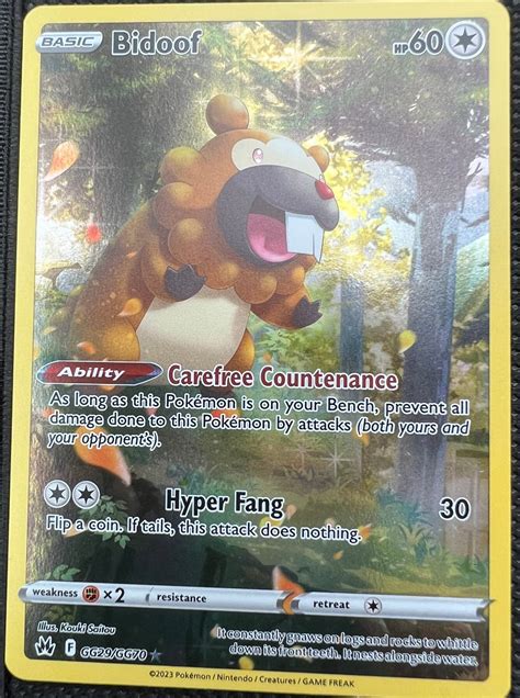 Bidoof Gg29 Gg70 Crown Zenith Rare Holo Jarvvos