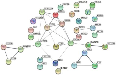 Integrative Analysis Of Transcriptome Wide Association Study And Gene