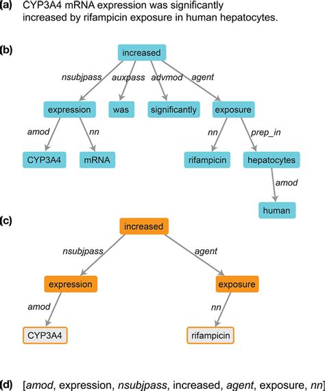 Example Of A Dependency Graph For A Medline 2013 Sentence A The Raw