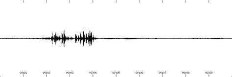 Xc1008777 European Robin Erithacus Rubecula Xeno Canto