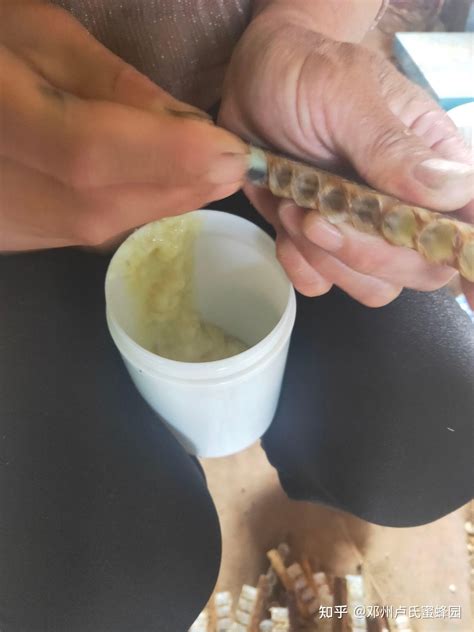 蜂王浆是怎么形成的