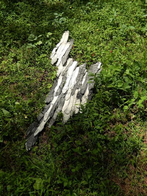 3 D — Amelia Eldridge