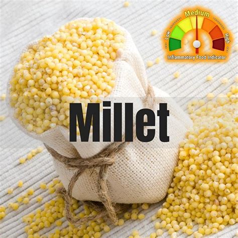 Millet Is A Whole Grain Meaning That They Contain The Entire Grain Kernel The Bran Endosperm