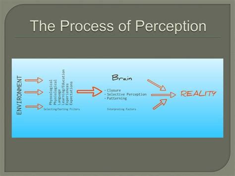 Discovering Our Realities And The Perception Process Ppt