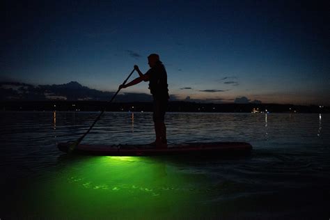 Glow Stand Up Paddleboarding Experience Discover Saskatoon