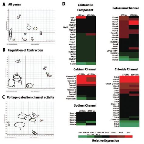 Principal Component Analyses Pcas Of Gene Expression In Download