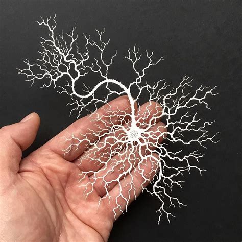 A Paper Cut Neuron One Of The 80 Billion That Make Up The Human Brain