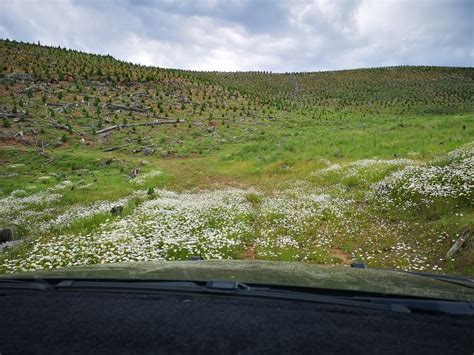 Guy Tries To Take A Min Shortcut Suggested By Google Maps Gets A Lesson And A Trip Of A