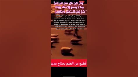 صم بكم عمي فهم لا يعقلونالمنشاوي العقل والسلوك الإجتماعي في القرآنkmindsetpsychology