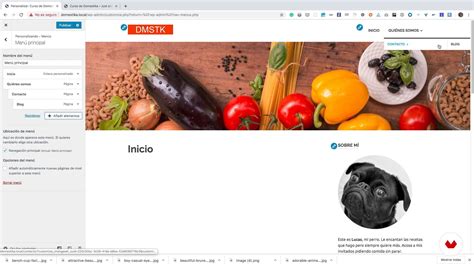 Menus de navegação Criação de um site profissional WordPress igmoweb Domestika