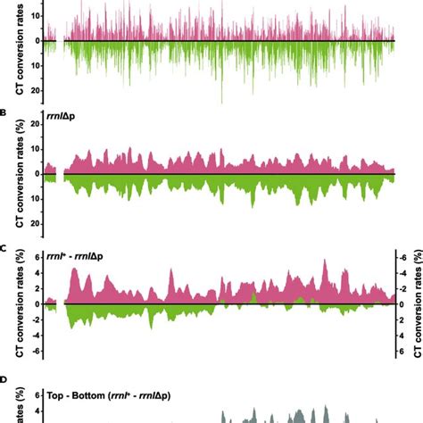 The Ct Conversion Rates Of The Wild Type Rdna Segment Rrni A The Ct Download Scientific