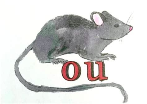 Research Based Phonics Cards For Struggling Readers By Amy Martin