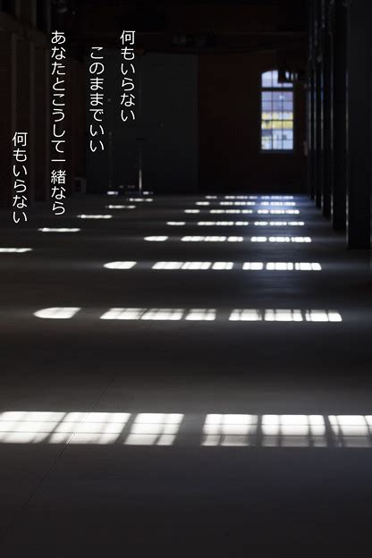 何もいらない 写真共有サイト「フォト蔵」