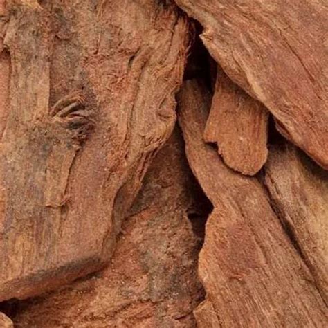 Arjun Ki Chhal At ₹ 75kg Arjuna Chaal In Datia Id 2855813877897