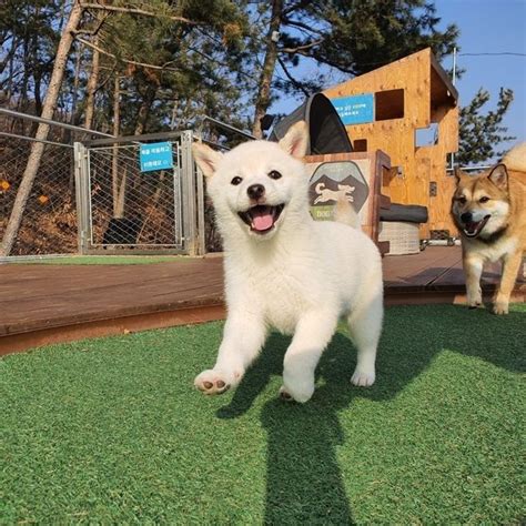 한복 정리하라고 명령하듯 던지고 휙 가버리는 저런 언행은 결혼한 며느리도 당해서는 안 될 일이에요 하물며 아직 결혼도 안 한 한마디로 손님으로 온 남의 집 귀한 아가씨를