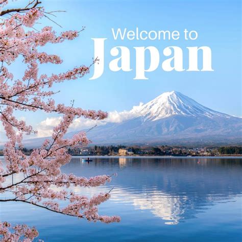 面ファスナー ベルクロパッチ メス無し Mサイズ Japan ワッペンスポーツ 日本代表 ワッペン 日本国旗 日の丸 M ゴールド 黒