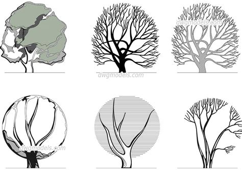 Pin On Trees And Plants