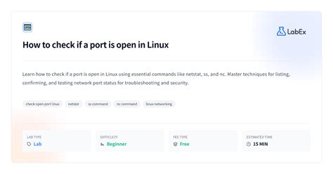 how to check if a port is open in linux labex