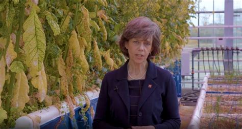 Prof Jane Rickson Honoured By Society Of Chemical Industry Chap