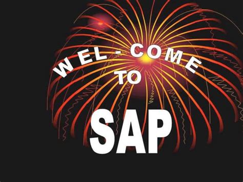 Sap Basic Introduction Pptx