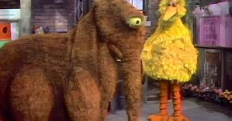 Hey Bird Album On Imgur