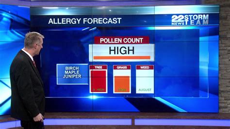 Tree Grass Pollen Count Very High In Western Massachusetts Wwlp