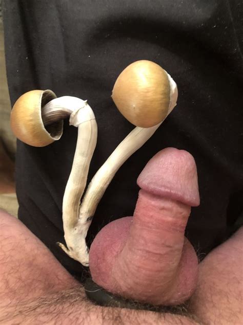 My Shrooms Are Bigger Than My Cock Pic
