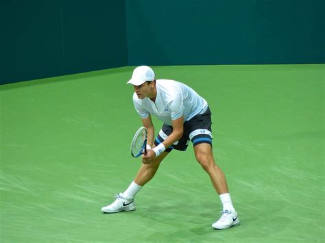 무료 이미지 네덜란드 투기장 로테르담 찬성 Atp 토너먼트 아호이 결정적인 버디 볼 게임 테니스 선수