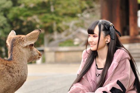 Ponkichi Photograph Photoponkichi Twitter