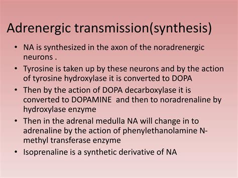 Ppt Adrenergic Medications Sympathomimetic Drugs Powerpoint
