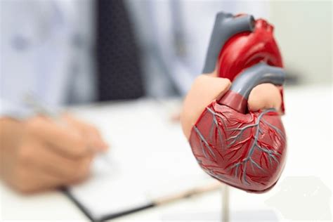 70 Mil Resultados De Imágenes Fotos De Stock E Ilustraciones Libres De