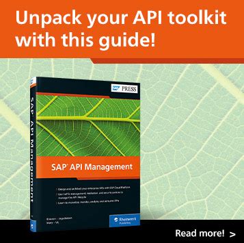 Sap Programming Sap Press Books And E Books