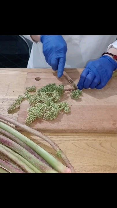 نحوه پاک کردن ریواس کوهی برای غذاshortsshortvideo Youtube