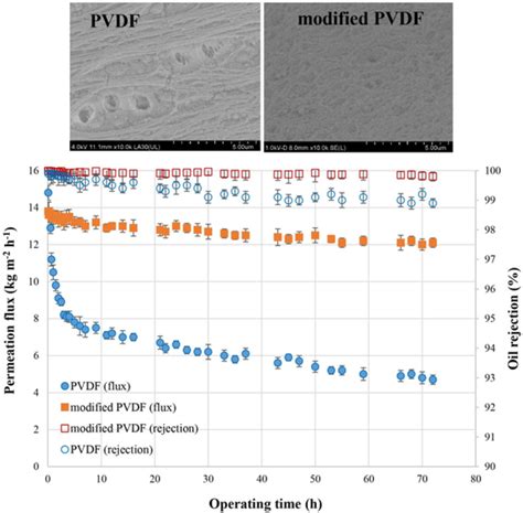 Surface Modification Of Porous Polyvinylidene Fluoride Hollow Fiber