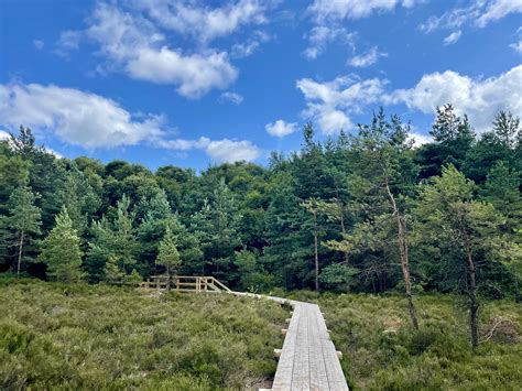 Ballylin Bog Boardwalk Visit Offaly
